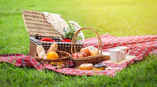 Picknick är En Av Sommarens Fröjder